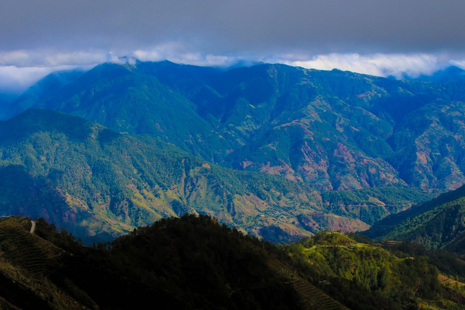 Baron the Explorer: Benguet’s Highest Peak : Mt. Timbak and Mt. Tabayoc