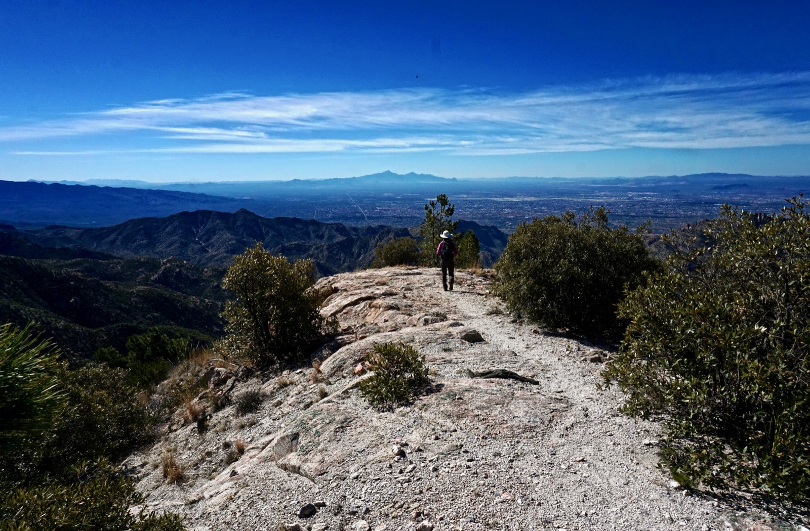 Earthline: The American West: Box Camp Trail, Pusch Ridge Wilderness