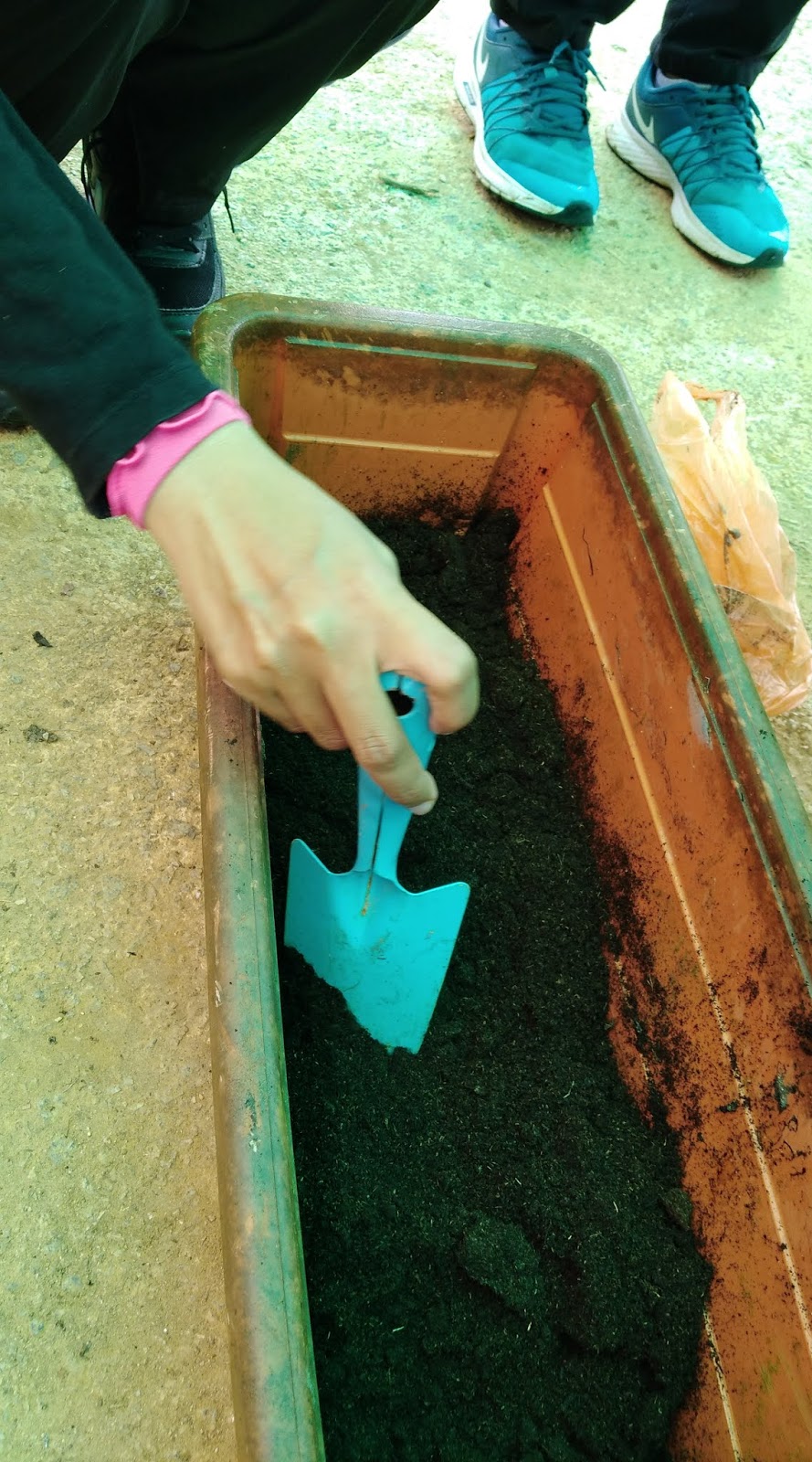 PROPAGATION AND PLANT MANAGEMENT: MINGGU KETUJUH - CANTUMAN BAJI DAN ...