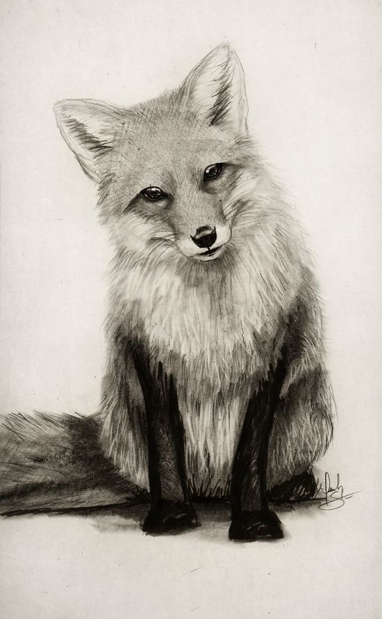Art Now and Then: Fox Art