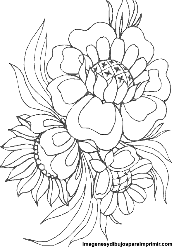Colorear flores | Imagenes y dibujos para imprimir