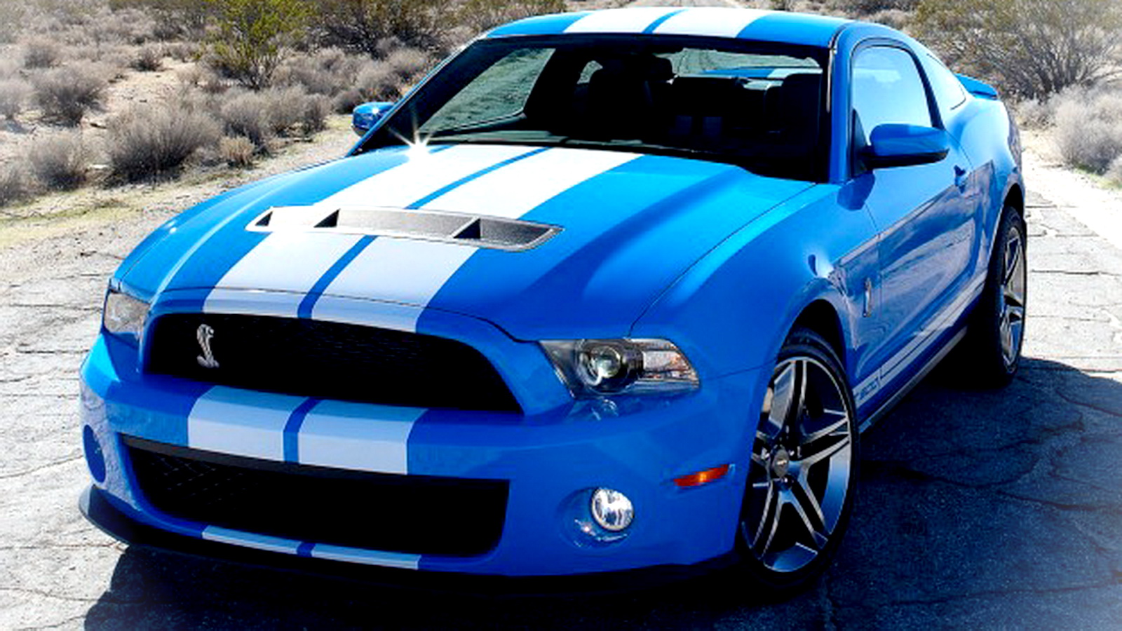2010 Ford Mustang Shelby GT500 impressive performance