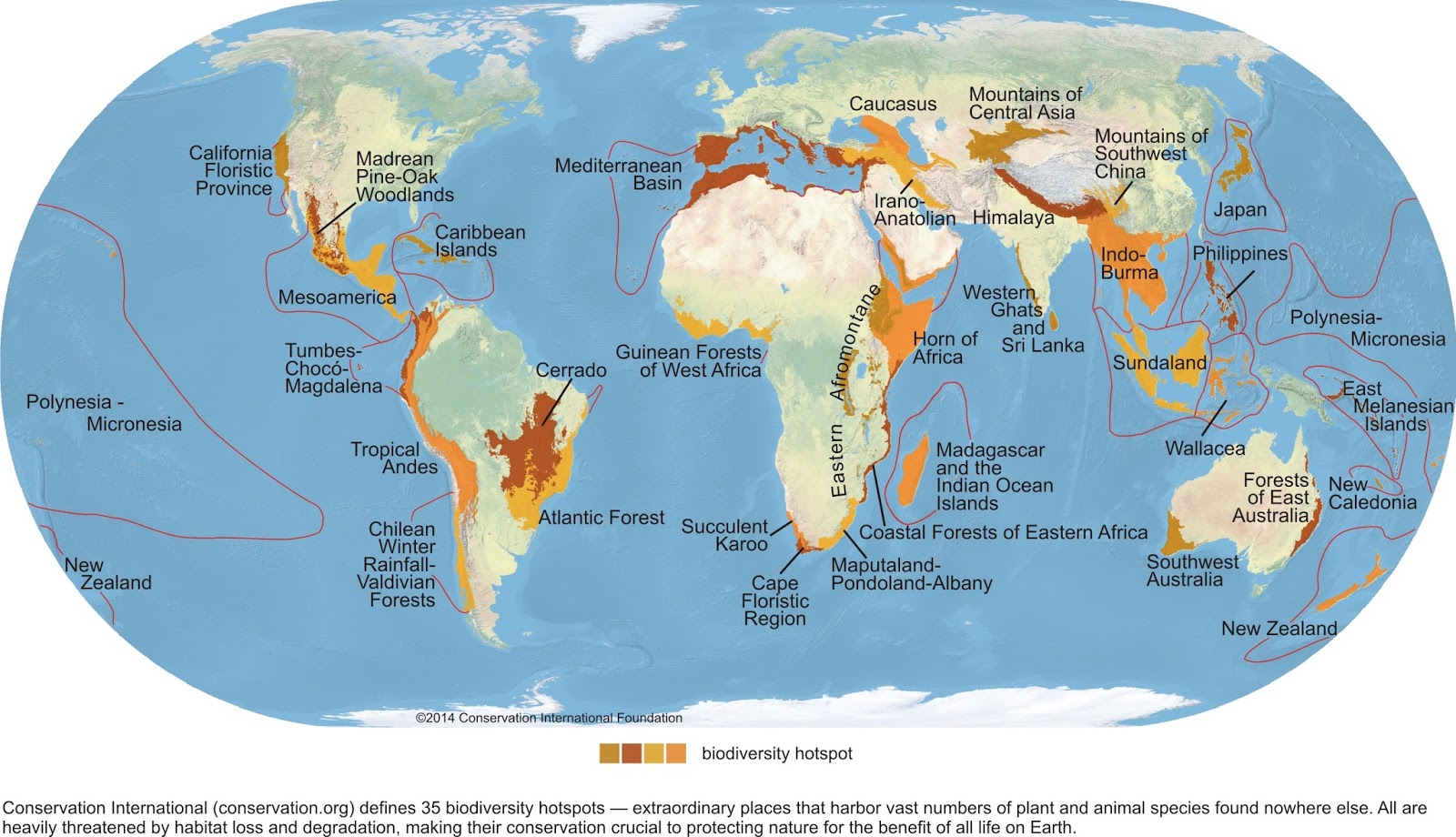Geografia com Hélio Chagas: Resumo: o que são hotspots