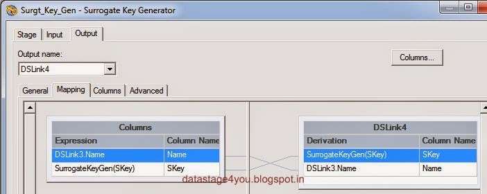 Nuts & Bolts of DataStage: Surrogate Key Generator - Generate Surrogate ...
