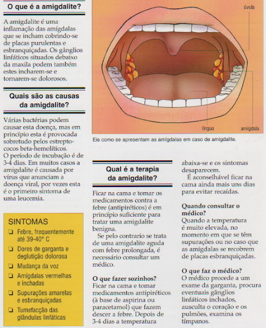 AMIGDALITE | A CHAVE DO BEM ESTAR
