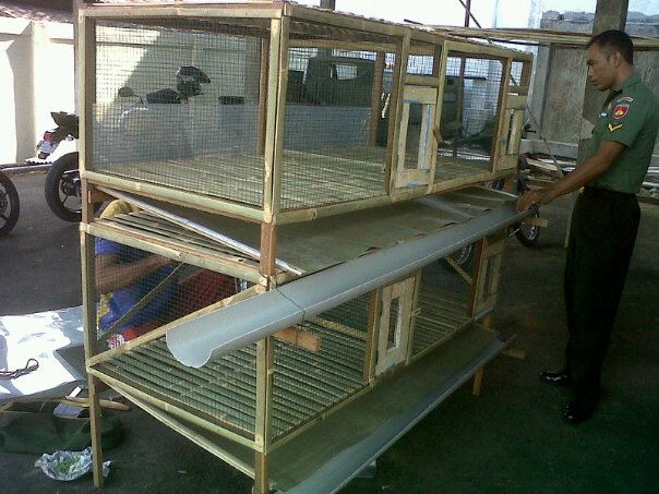 Kelinci Jombang: Bentuk Kandang Kelinci Yang Ideal