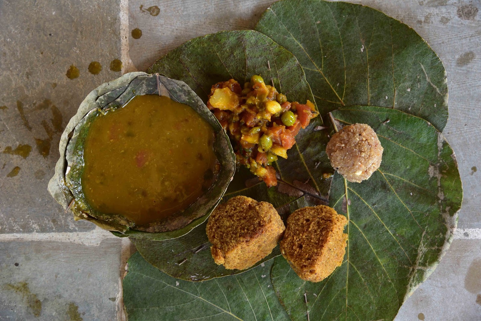 GREEN FEATURES : National Vikalp Sangam, Udaipur: Confluence of ...