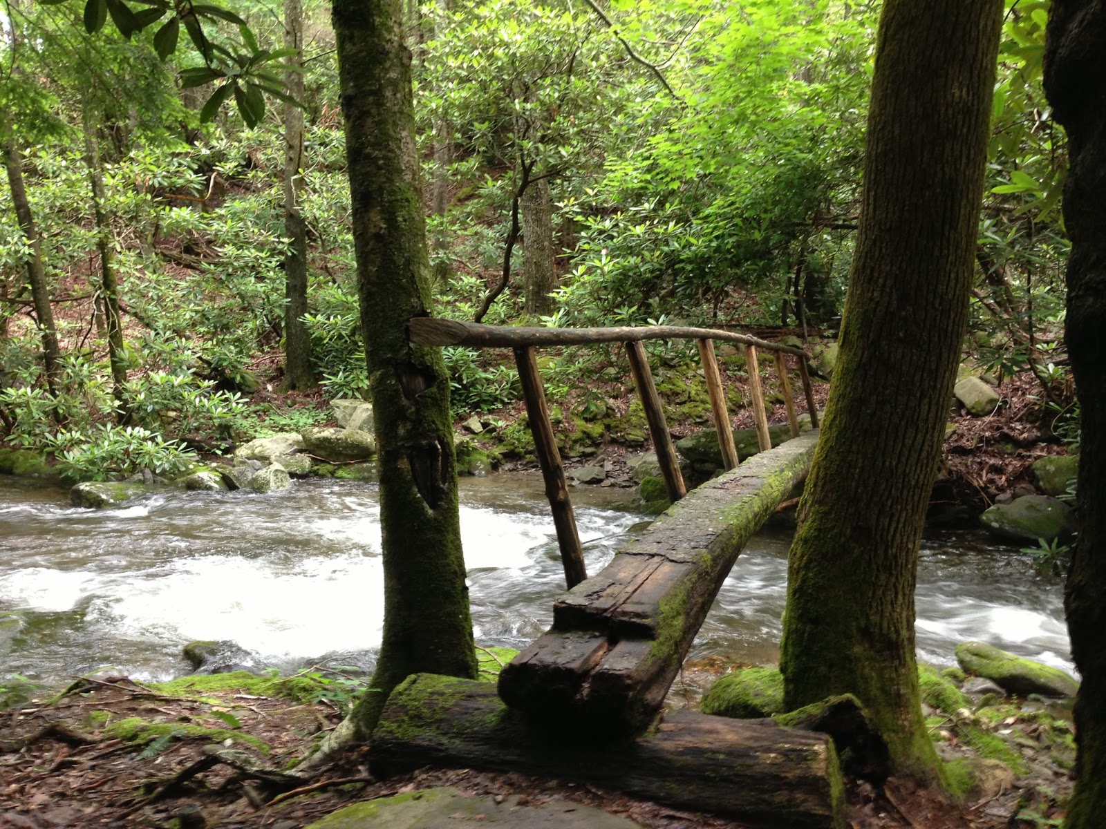 Hiking the Appalachian Balds: Spence Field