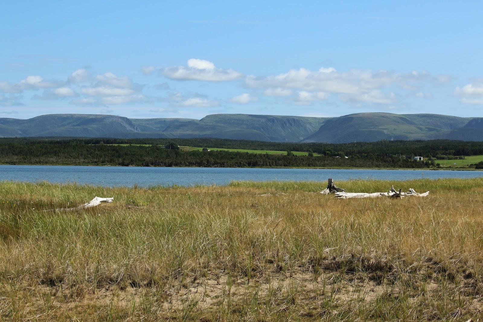 Nomadic Newfies: A Sampler of the Codroy Valley