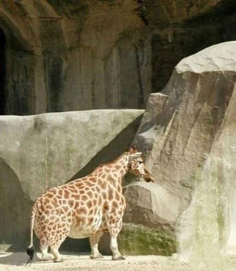 05/01/2013 - 06/01/2013 ~ Al Mubins