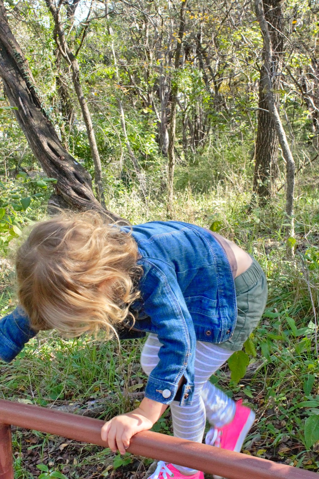 pearl + honey: Austin Science + Nature Center
