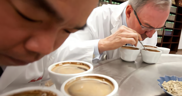El Gourmet Urbano: ¿Qué debes evaluar en una cata de #café?