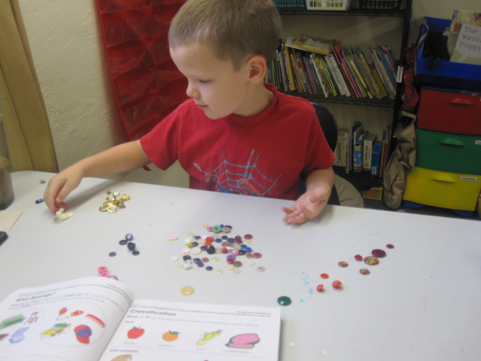 Training Up A Child: Math Concept - Sorting And Classifying