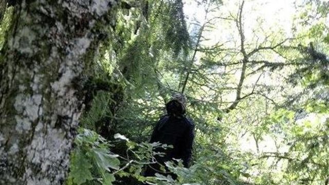 The Ghost of Maules (Le Loyon) - World Truth