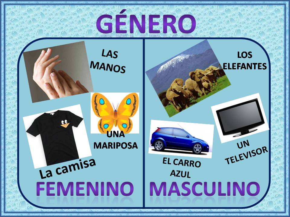 EL ADJETIVO: GÉNERO Y NÚMERO