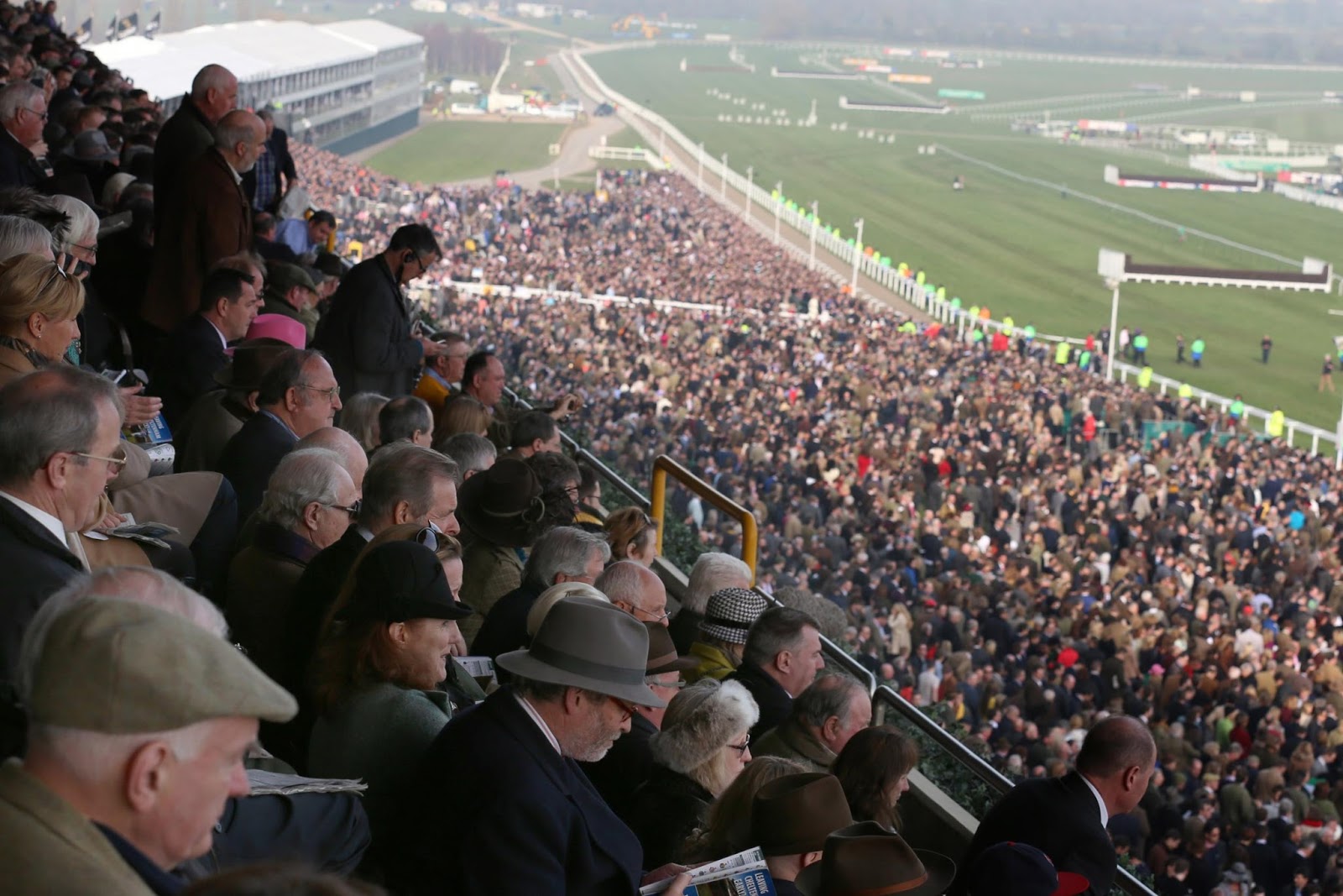 Cheltenham Races: Cheltenham Festival 2015: Novice Coneygree Wins Gold Cup Cheltenham Races: Cheltenham Festival 2015: Novice Coneygree Wins Gold Cup