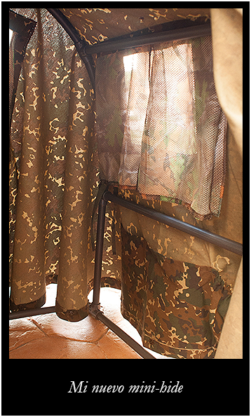 MANERAS DE MIRAR: Mi nuevo mini-hide
