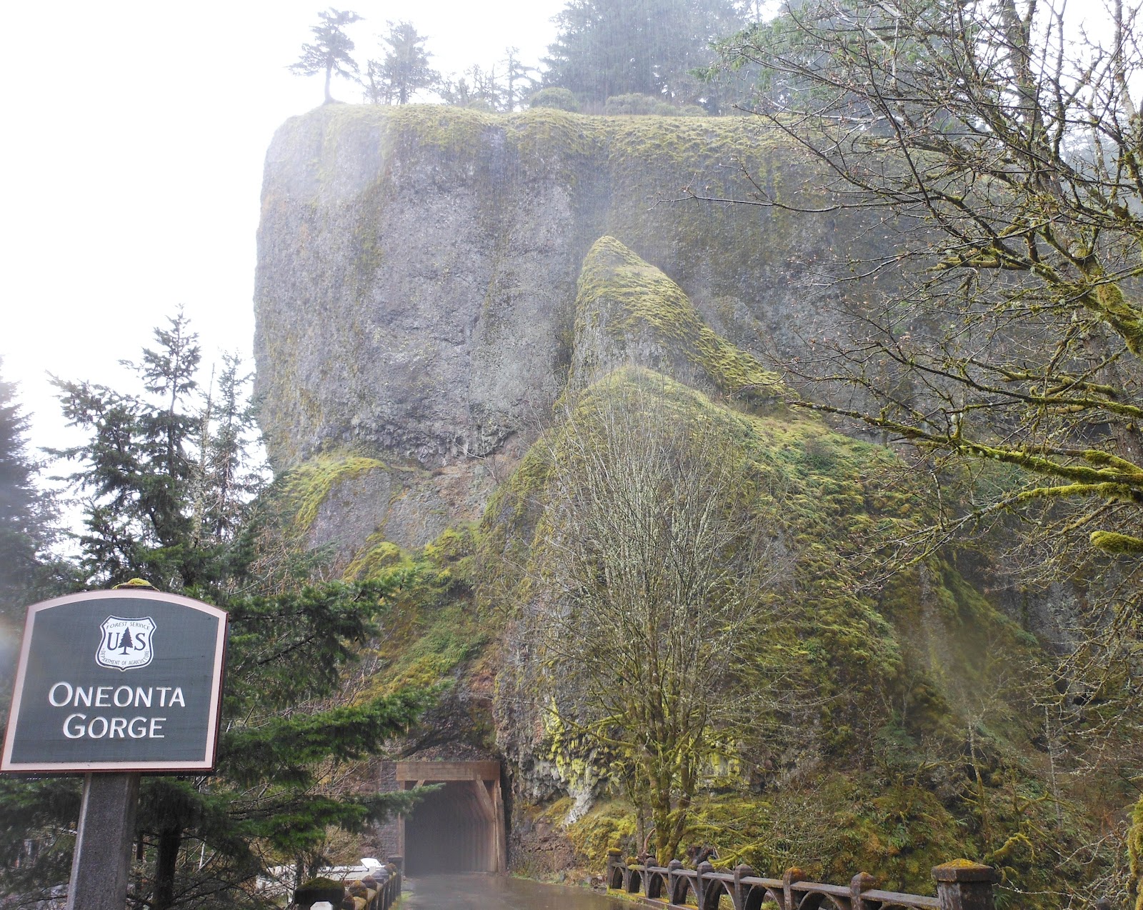 1000 Hikes in 1000 Days: Track #508: Multnomah Falls - Oneota George ...