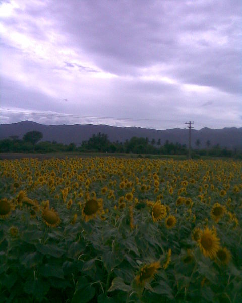 Tamilnadu Tourism: Perambalur – General Information