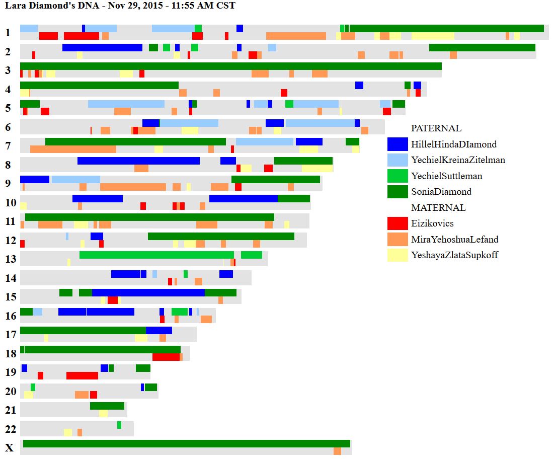 Lara's Jewnealogy: Mapping my DNA