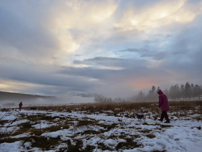 The Cranbrook Guardian: One Misty, Moisty Morning