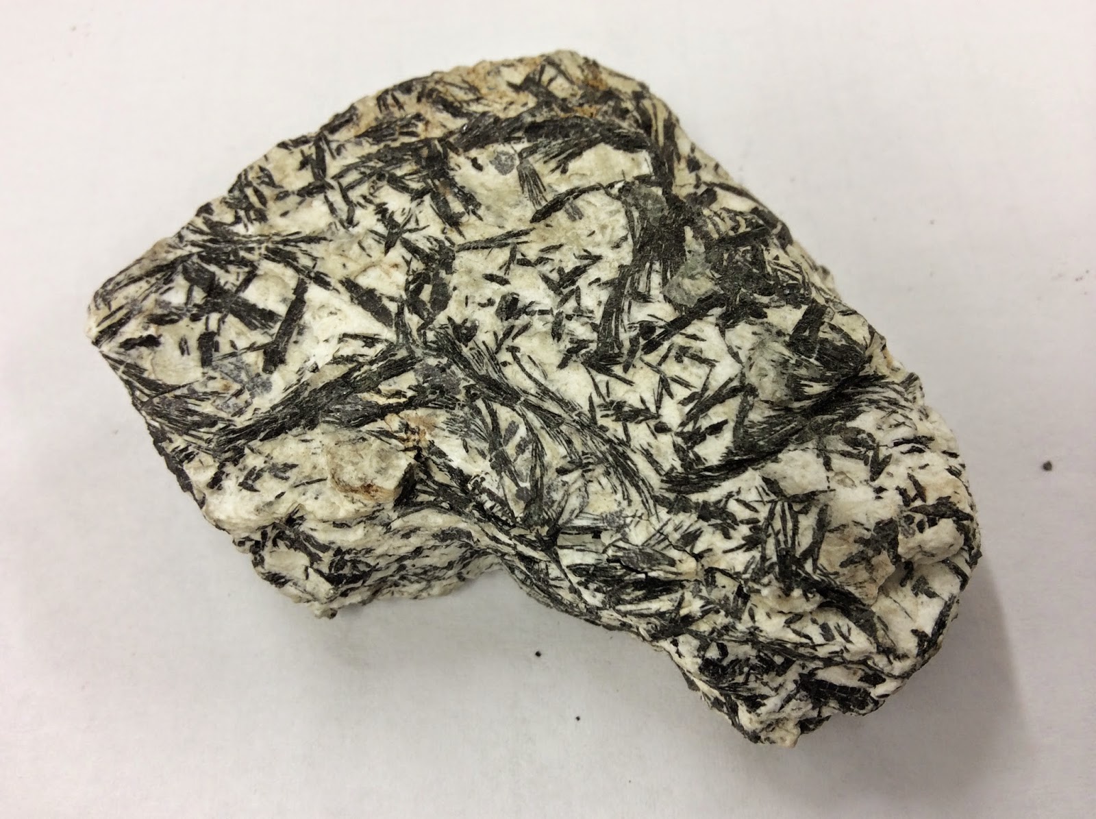 Canterbury Geology: Metamorphic Hand Samples