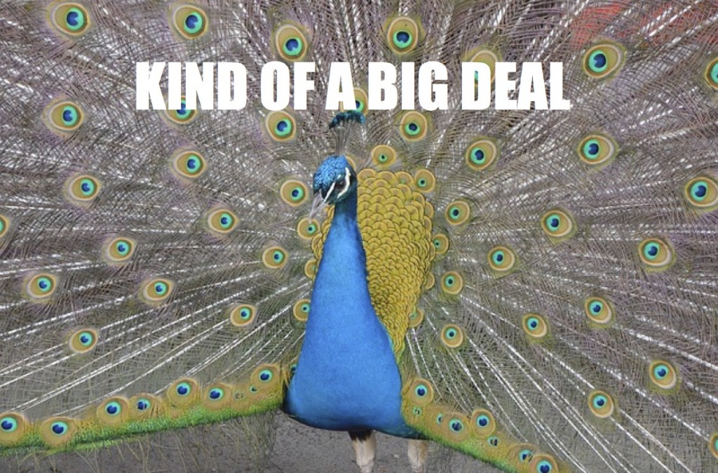 If only I was Batman