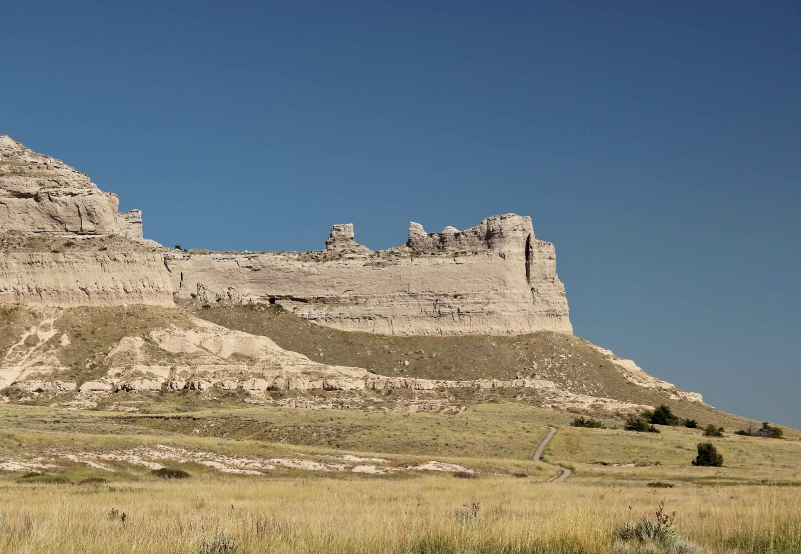 In the Company of Plants and Rocks: Reading the Rocks of Scotts Bluff
