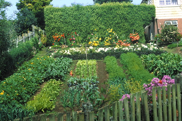 Organiquísimo: Huertos orgánicos en nuestro jardín