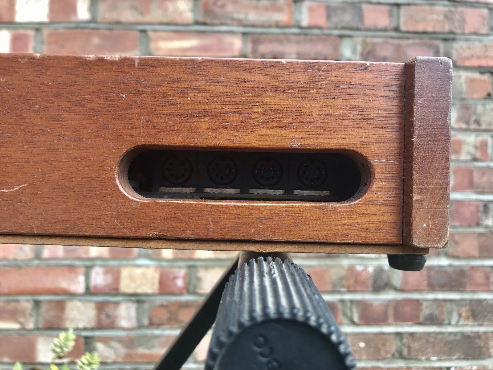 MATRIXSYNTH: RARE EDP Caterpillar for EDP Wasp Gnat Synth