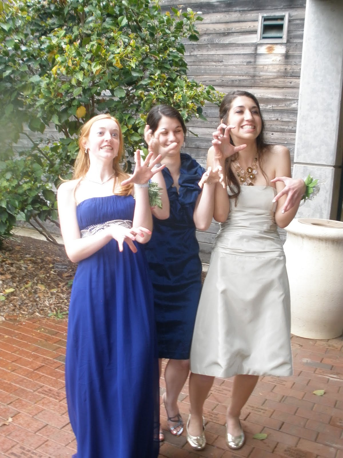 Clearly Classic: Prom Photo Bomb