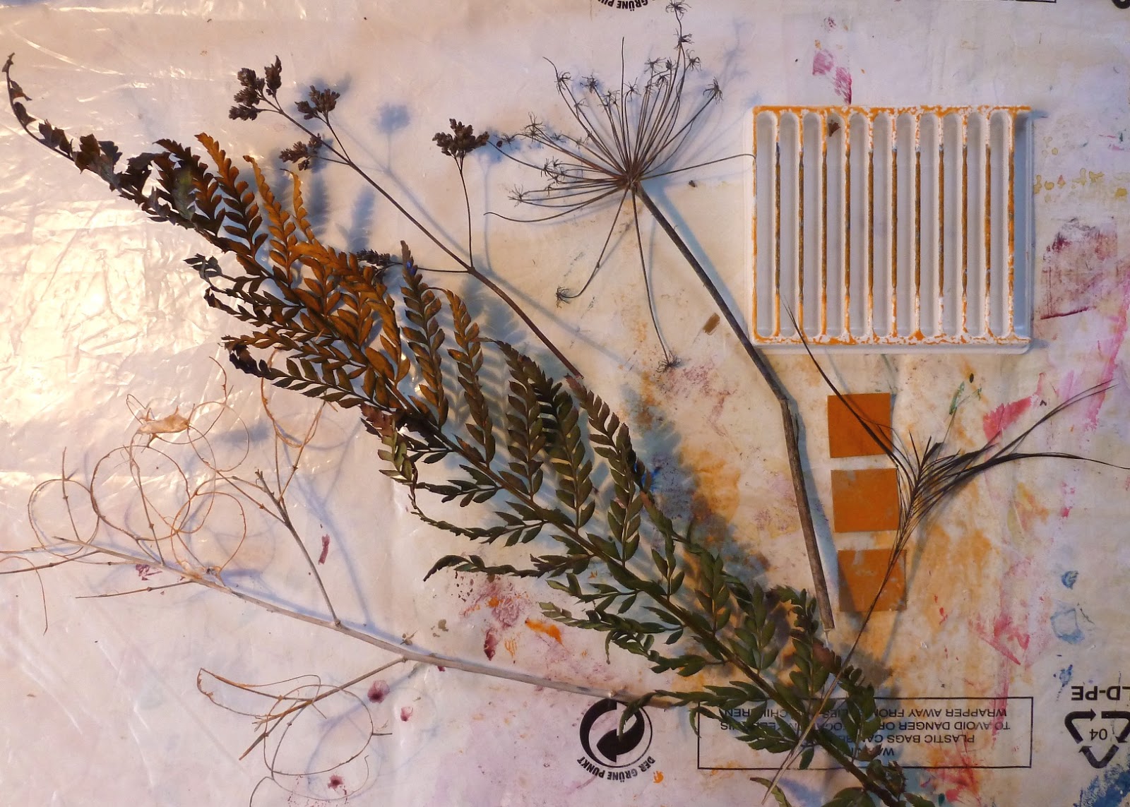 A little bit of everything: Monoprinting & a Printmaking Class