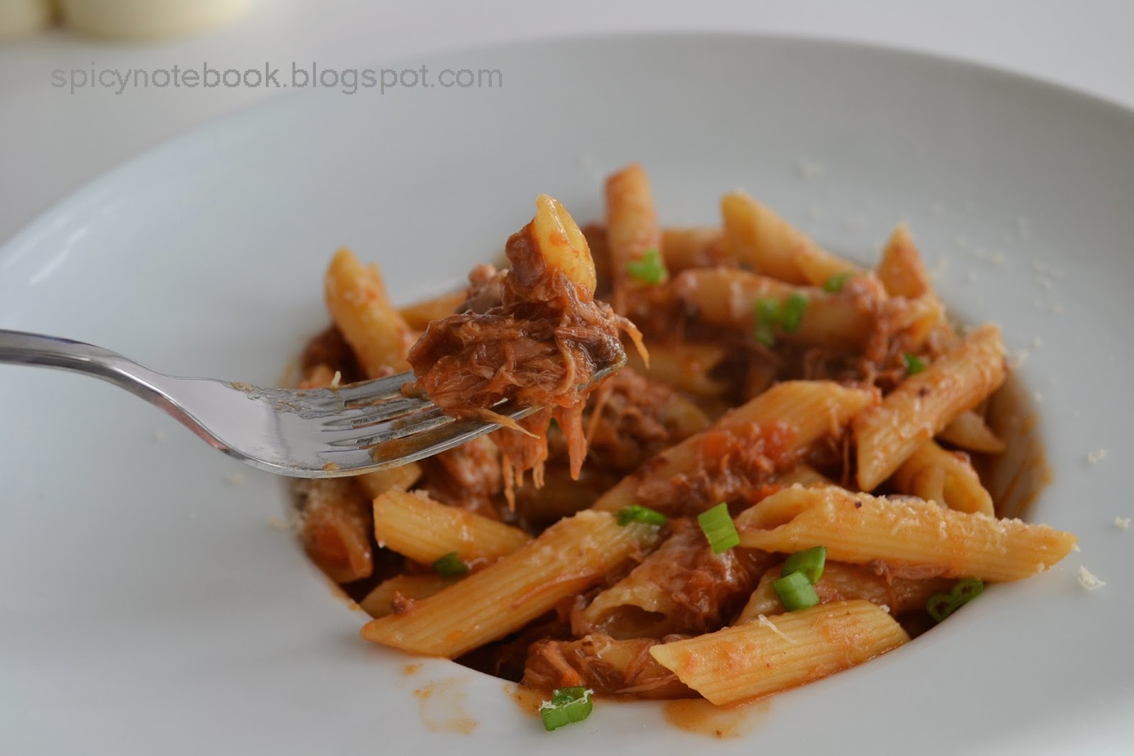 Spicy notebook: Penne pasta with rabbit ragu