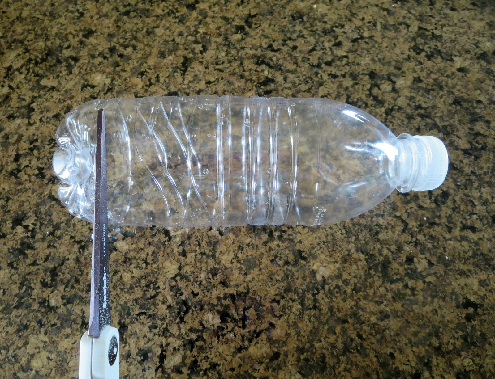 Bubble Snake - Sunshine and Munchkins