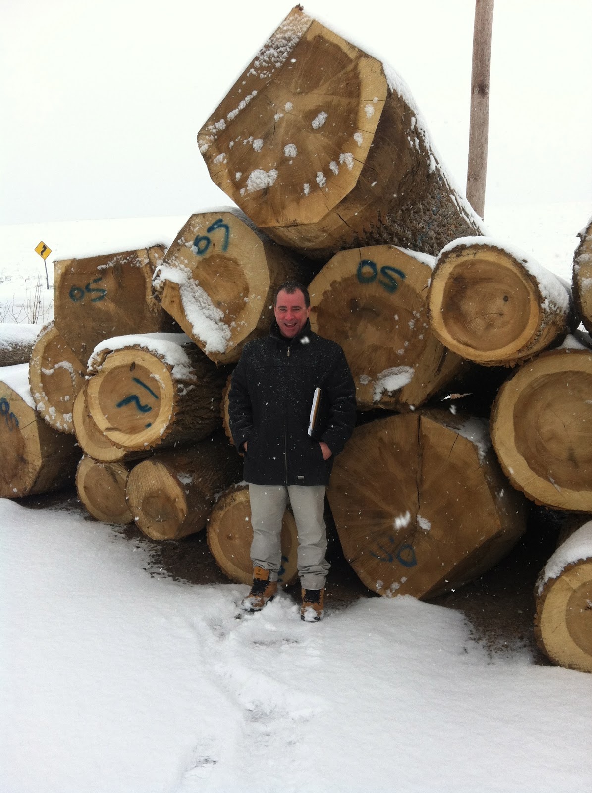 Torrefied Wood... all wood, all natural.: Yellow poplar - logs to siding
