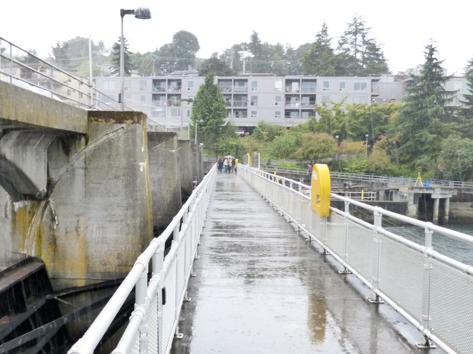Ray's Retirement: Seattle - the fish ladder