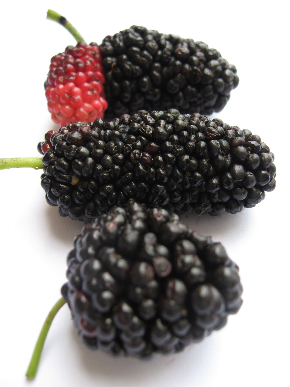 Morsels and Musings: mulberry & cinnamon cake