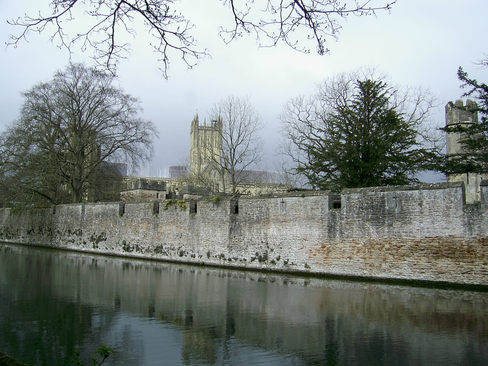 Cindy's Snaps: A lovely stay in Compton Bishop, in beautiful Somerset ...