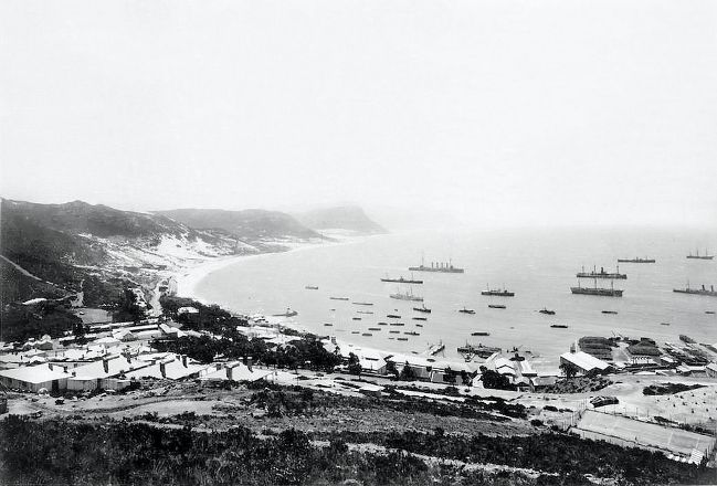 The W I L D S P A C E Blog