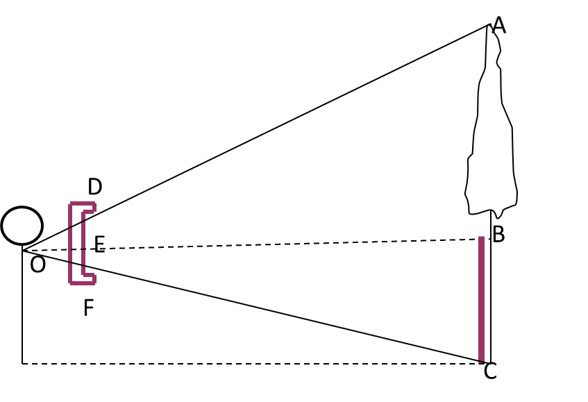 Materi Kuliah: Christenhypsometer - Biometrika Hutan