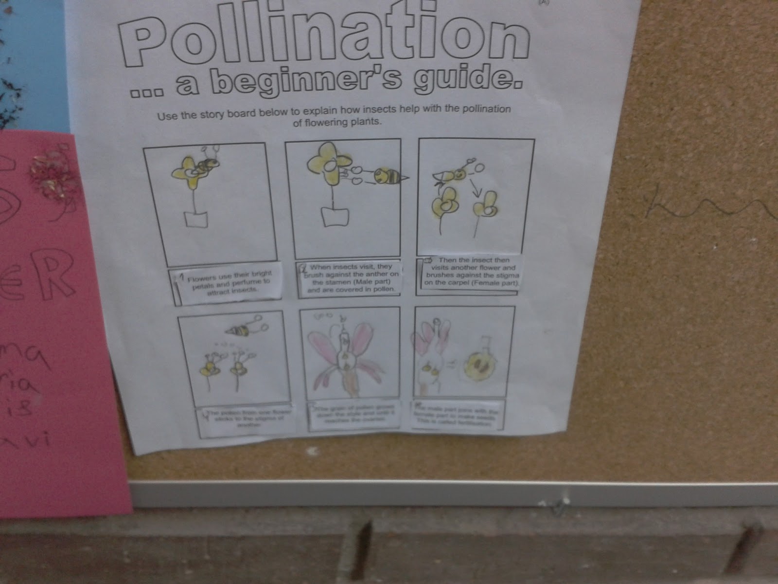 Look what we are doing!: Pollination storyboard.