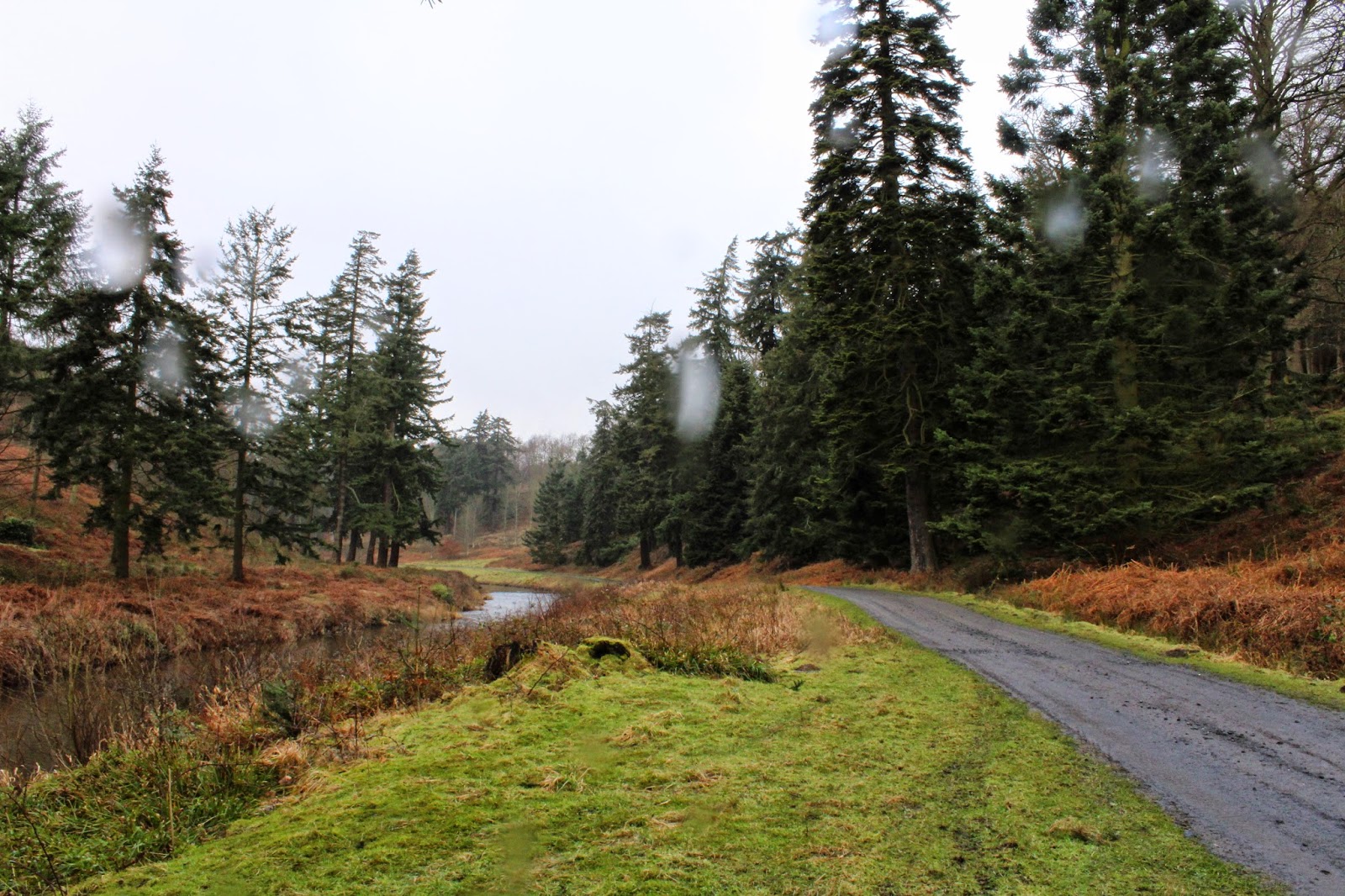 Northumberland Curiosity Walks: Hulne Park - remaining parkland of ...