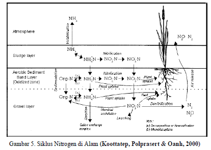 Cantika Aja: Siklus Biogeokimia
