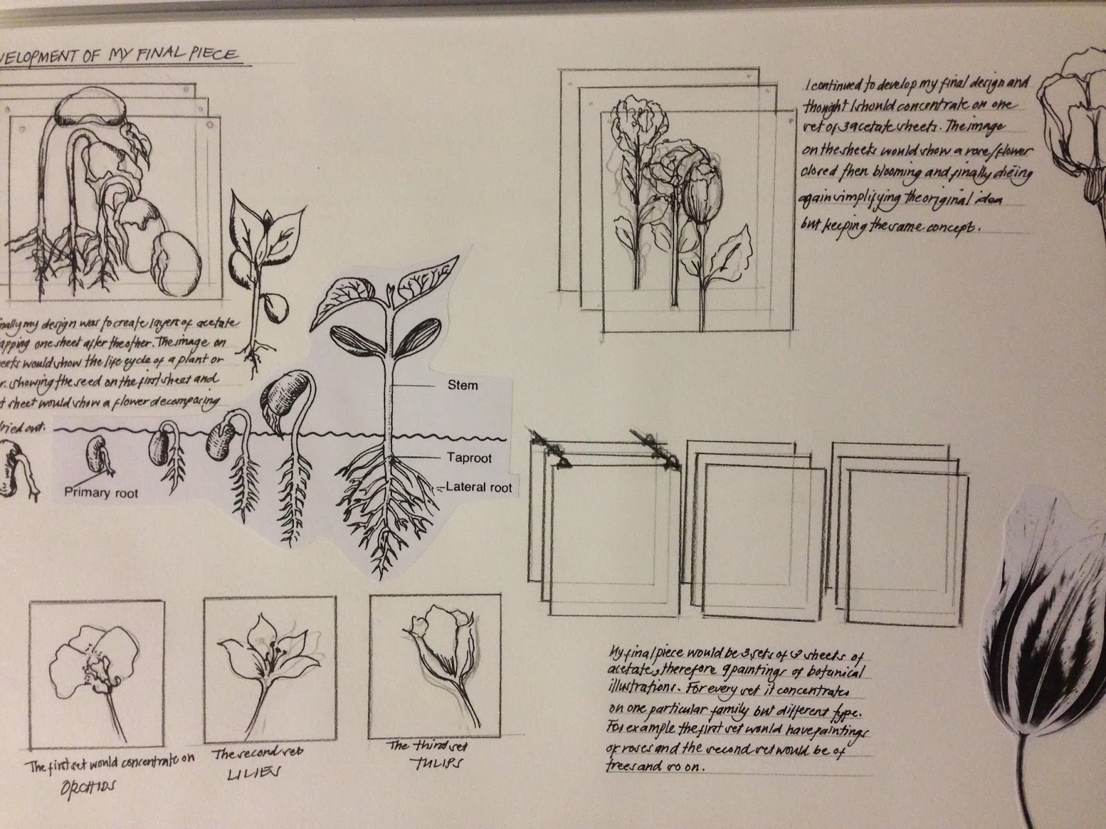Sketch Innovation: Sketching and Discovering
