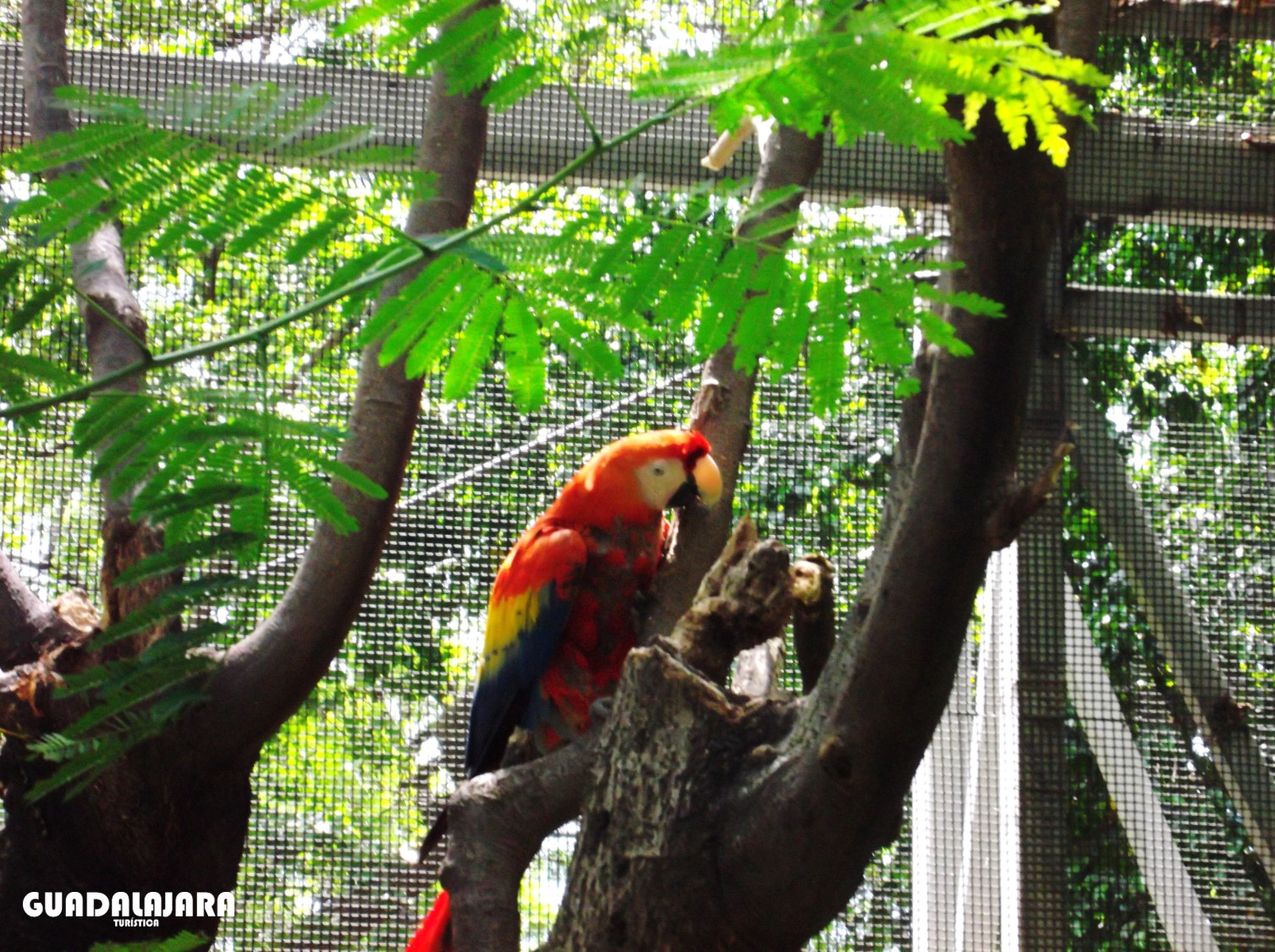 Agencia de Viajes Guadalajara Turística: Parque Agua Azul