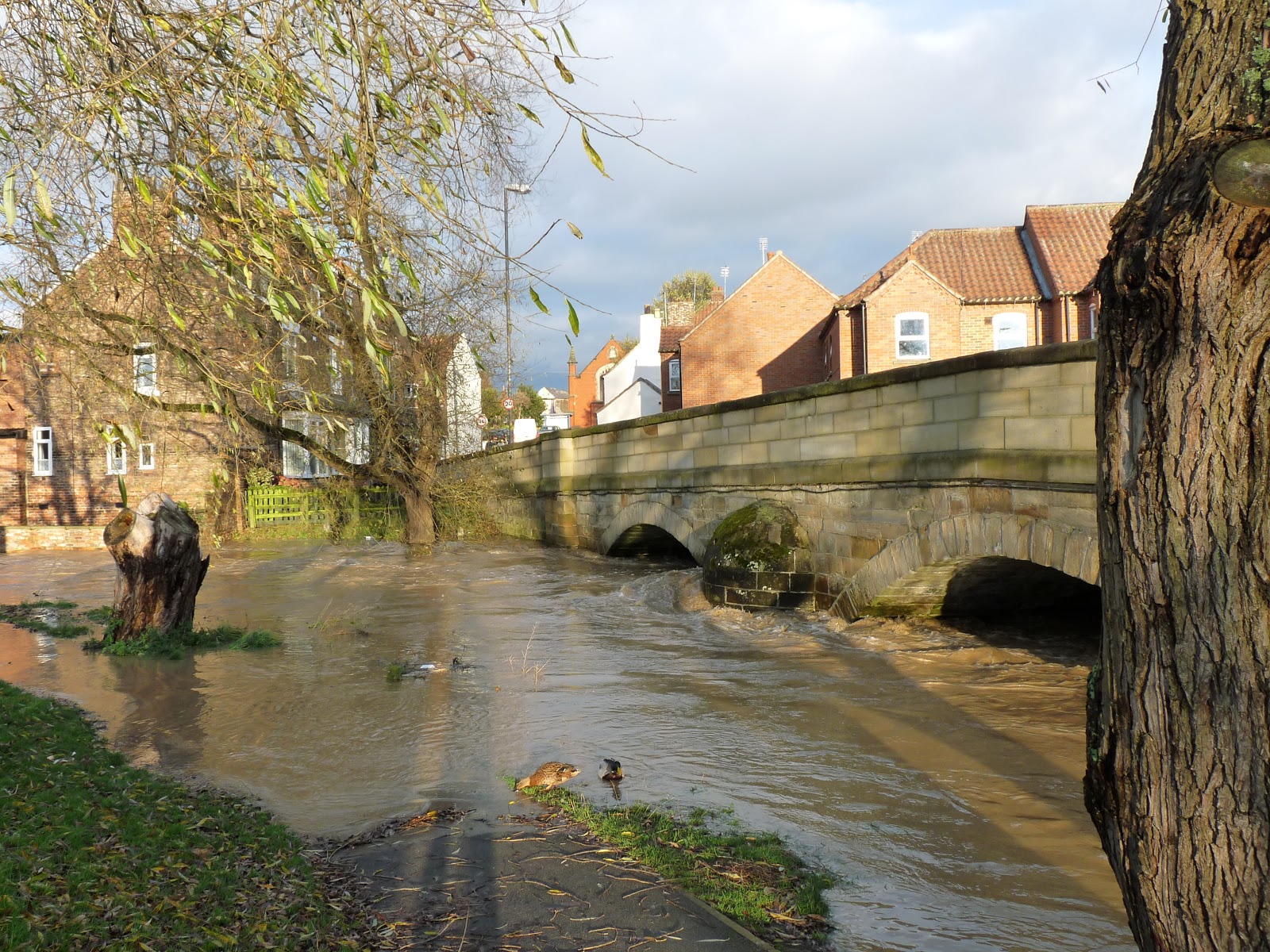 Barry In Thirsks Adventures: Cod Beck River in Thirsk overflows its ...