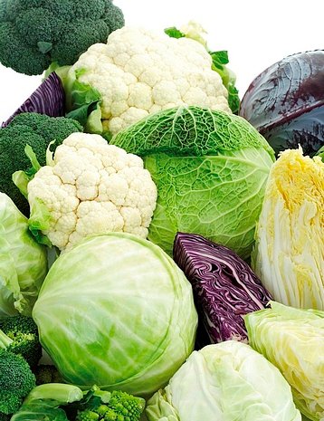 Dieta de la col |Ponerme a Dieta. En busca del cuerpo ideal