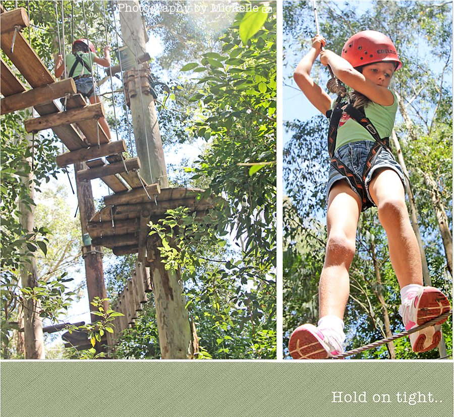 Photography by Michelle: Swinging Through the Treetops - Treetop ...