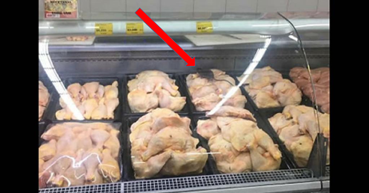 Una rata paseaba sobre el pollo fresco de un prestigioso supermercado ...