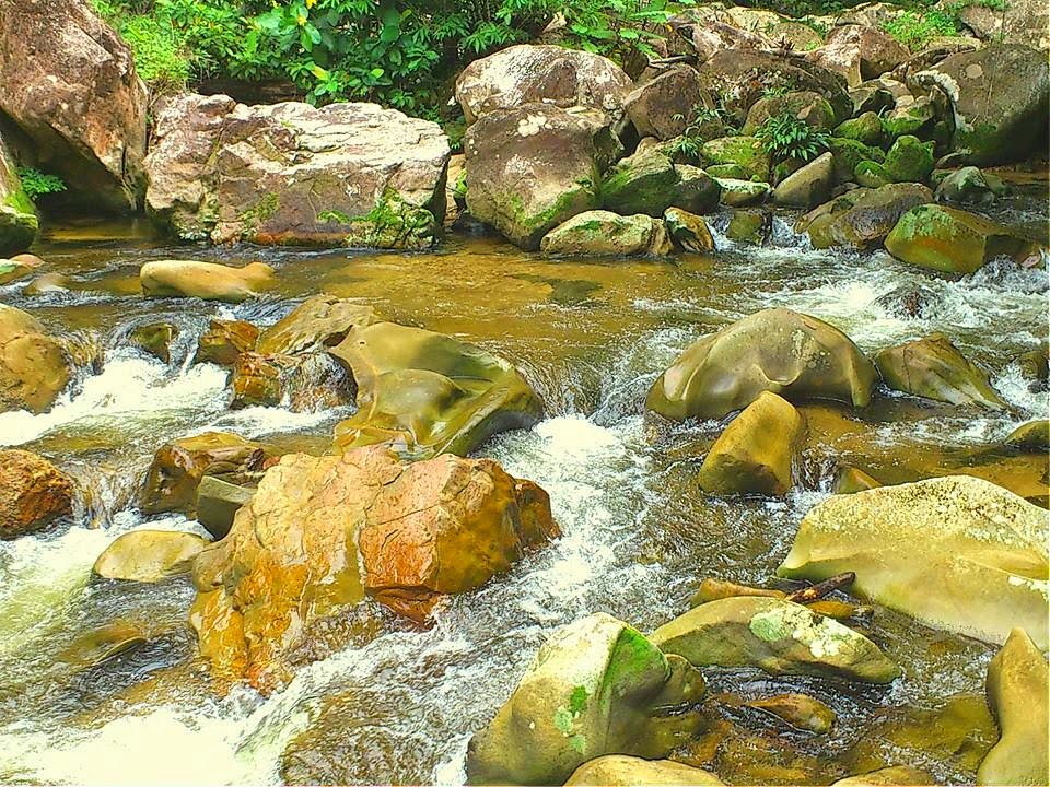 KAMPUNG TEPOI,TEBEDU,SERIAN,SARAWAK
